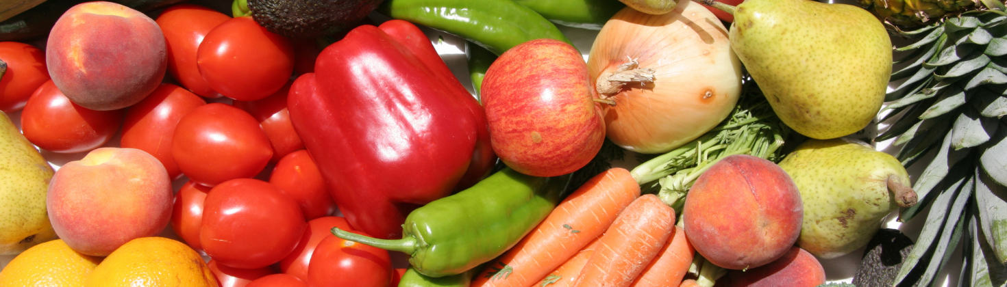 Macmillan Wellbeing Centre Nutrition and Exercise | North Bristol NHS Trust